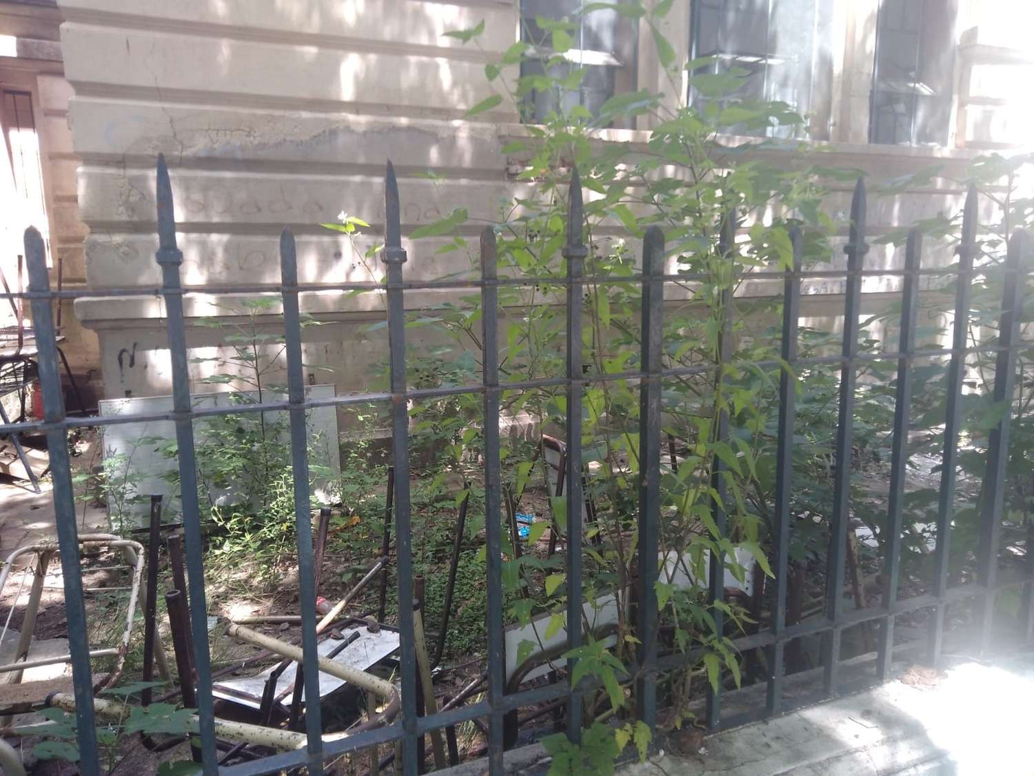 “La escuela Normal pide a gritos que empiecen las clases” – Las últimas ...