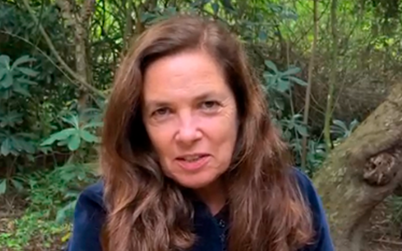 Sandra Mihanovich se suma a la campaña por el Conservatorio de Música – Las últimas noticias de ...