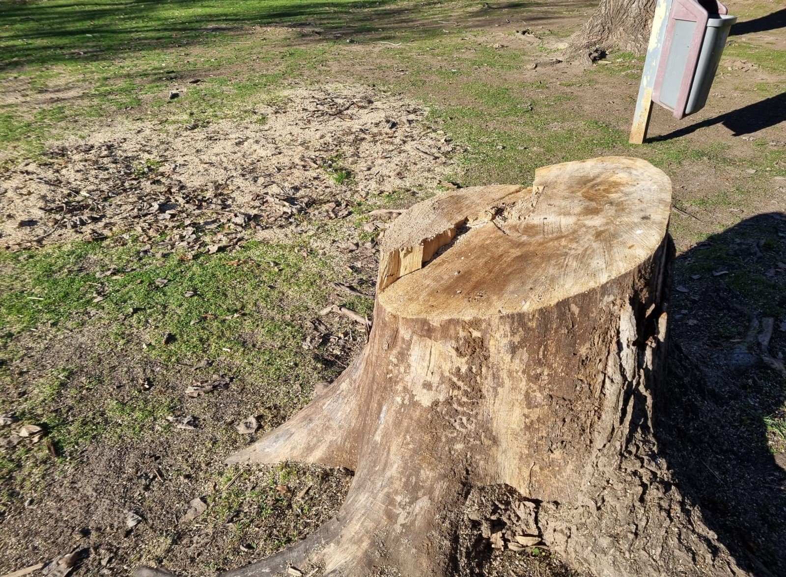 Las últimas noticias de San Pedro | La Opinión Semanario