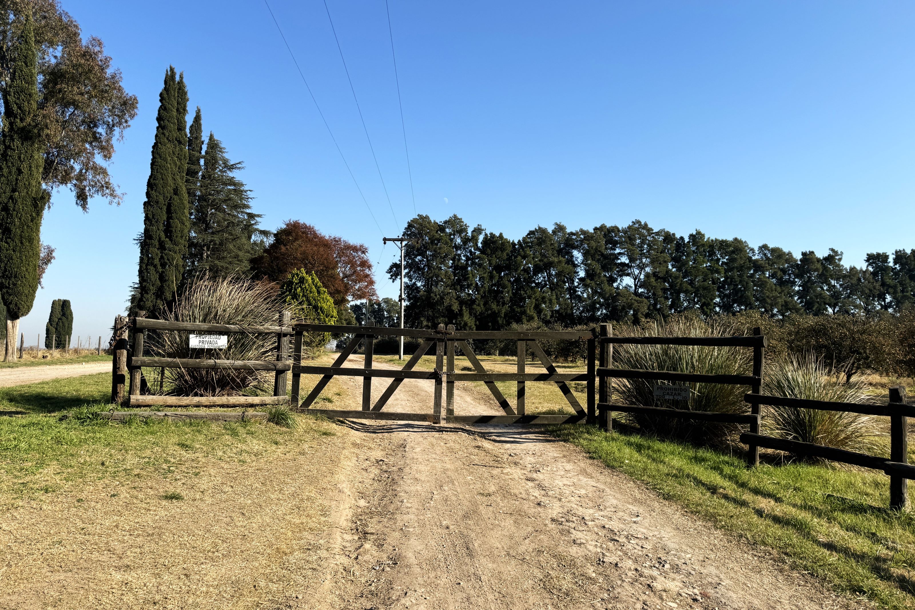 Drogas, muerte y misterio: la defensa de Marisel Solís pide que no la ...