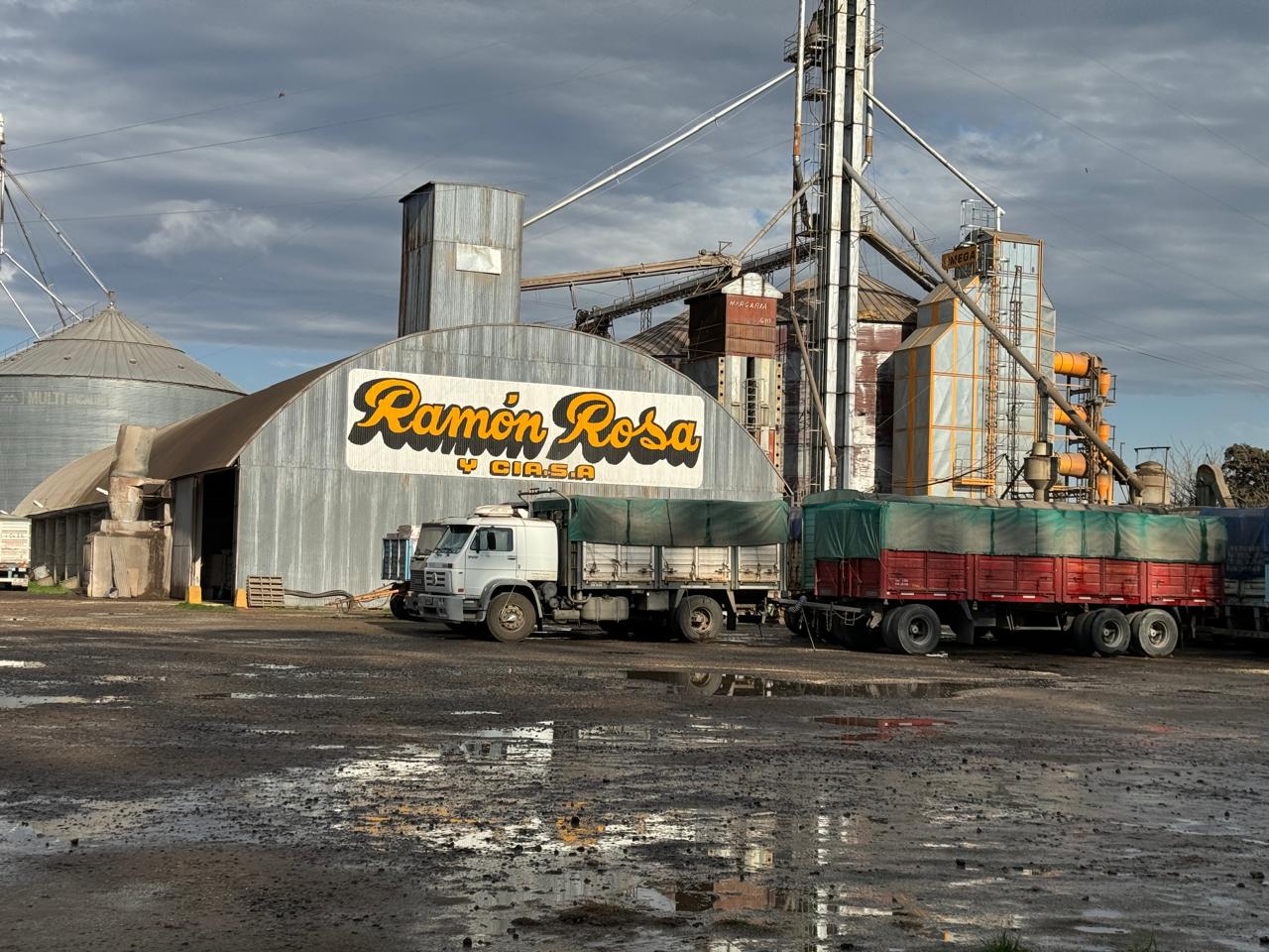 Las últimas noticias de San Pedro | La Opinión Semanario