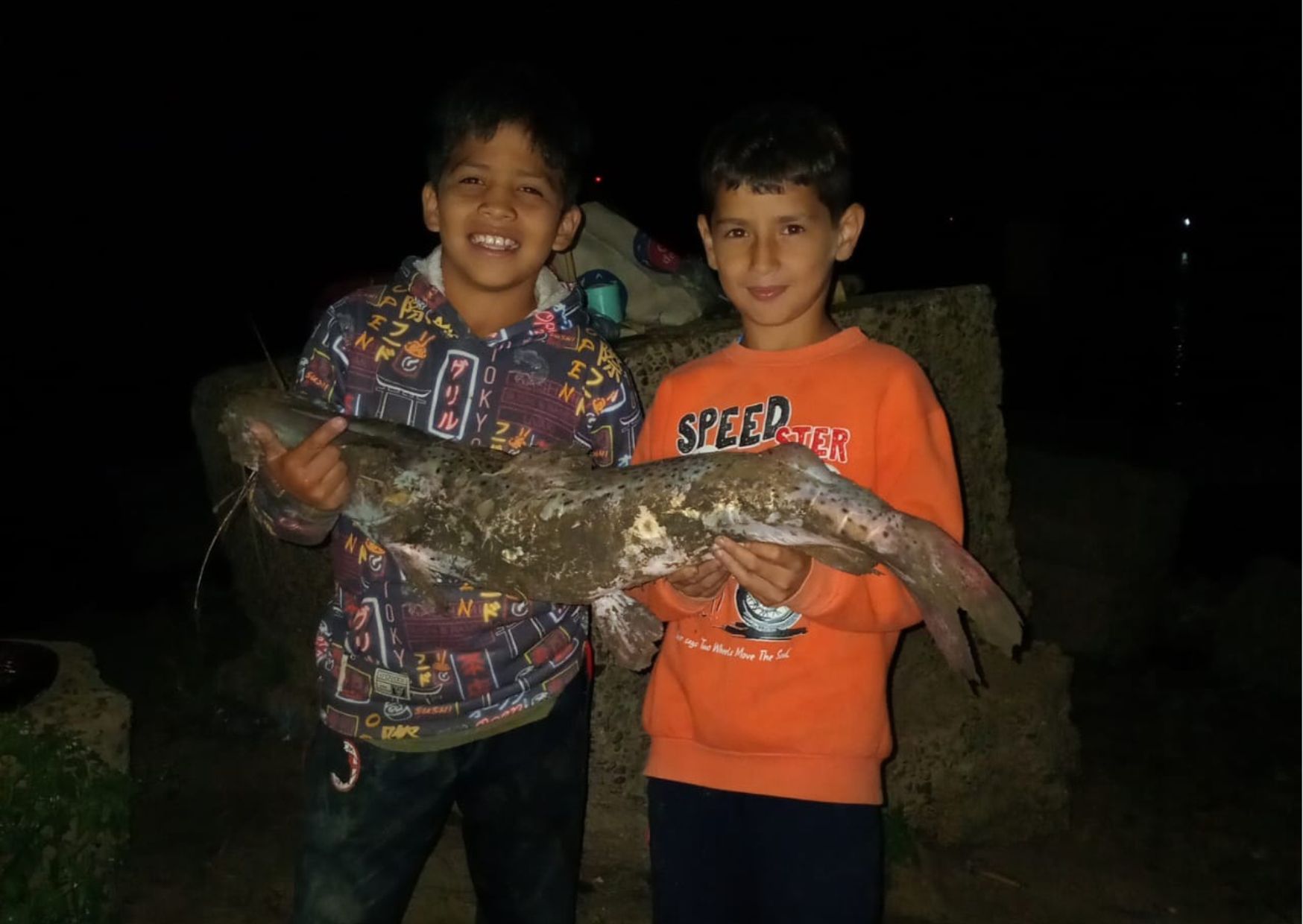 Las últimas noticias de San Pedro | La Opinión Semanario