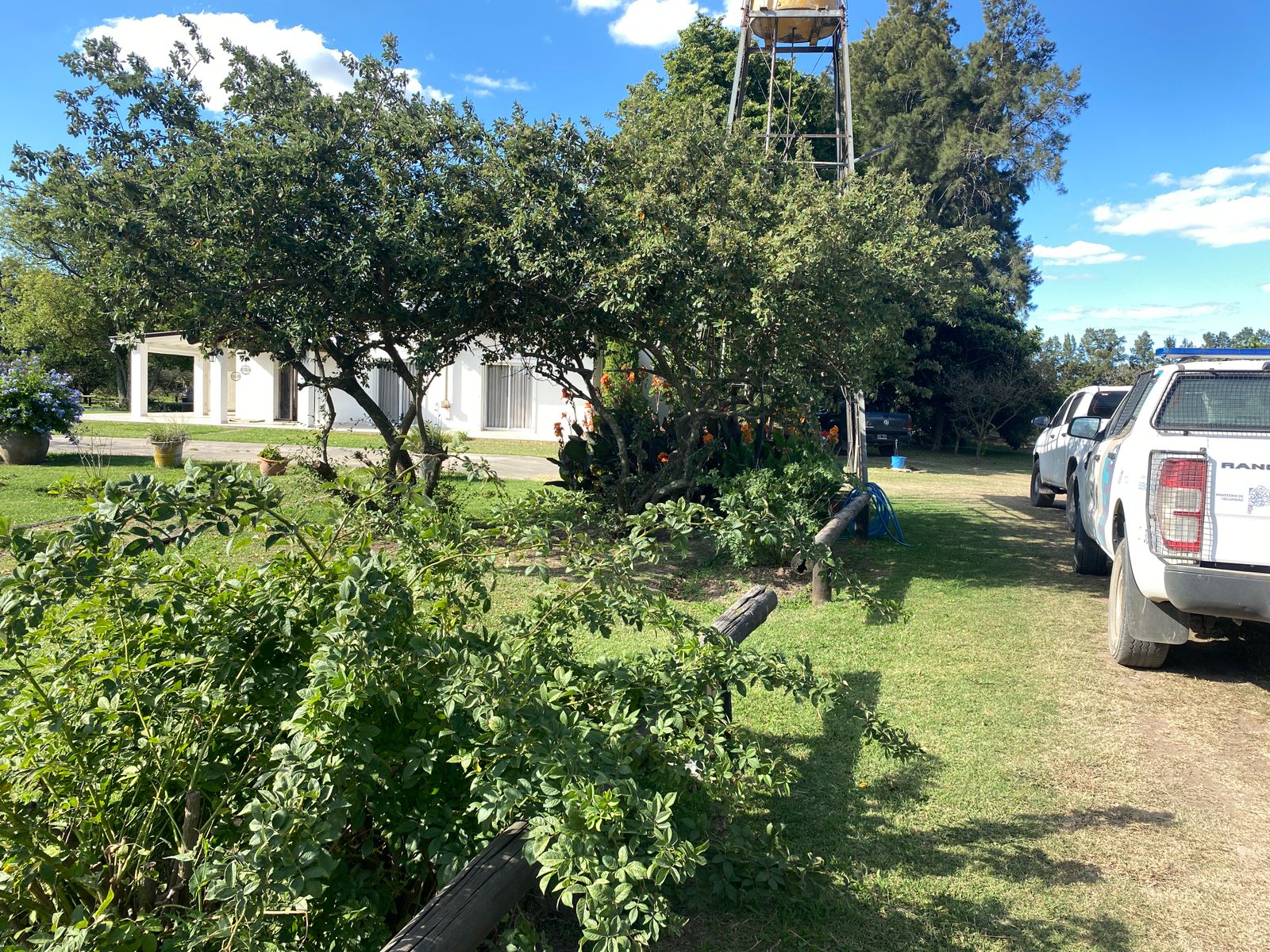 Las últimas noticias de San Pedro | La Opinión Semanario