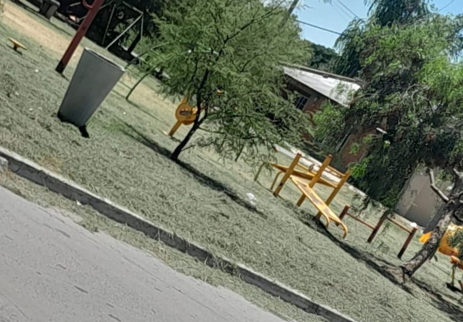 Las últimas noticias de San Pedro | La Opinión Semanario