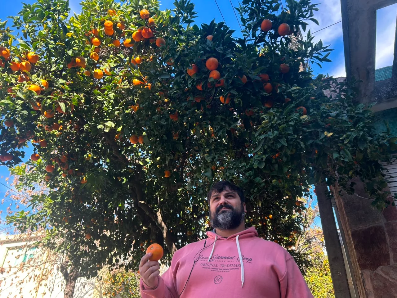 El proyecto escolar sobre naranjas amargas de San Pedro que despertó ...